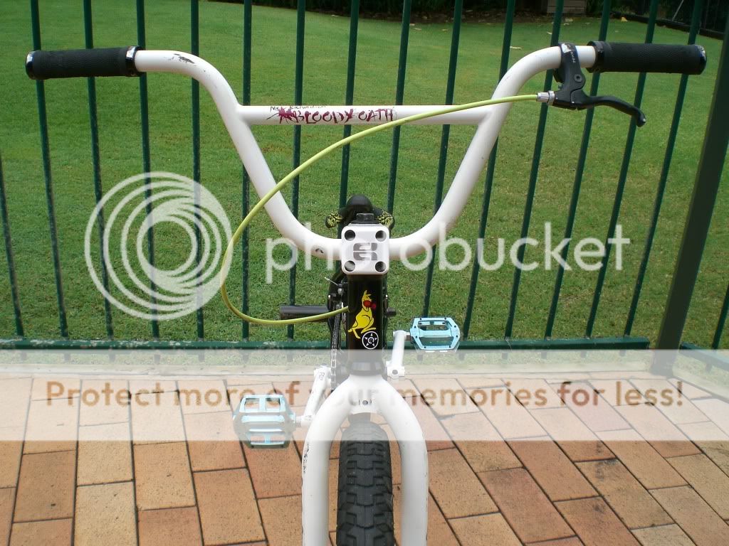 SOLD: Eastern Jane | Rotorburn