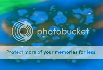 The Map of Namek? • Kanzenshuu