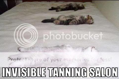 FARK.com: (3170487) British army tests "invisible" tank. Invisible WMD ...