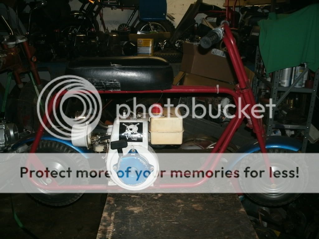 I think i found the dumb and dumber bike! | OldMiniBikes.com