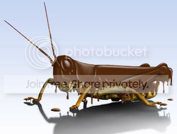 October 14 – National Chocolate Covered Insects Day | National Food ...