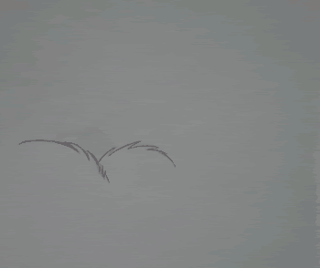 Traditional pencil animation of Zill, posted to Viv's deviantart March ...